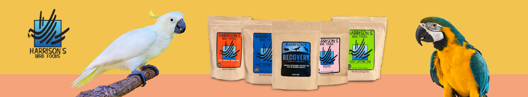 Harrison's Bird Foods