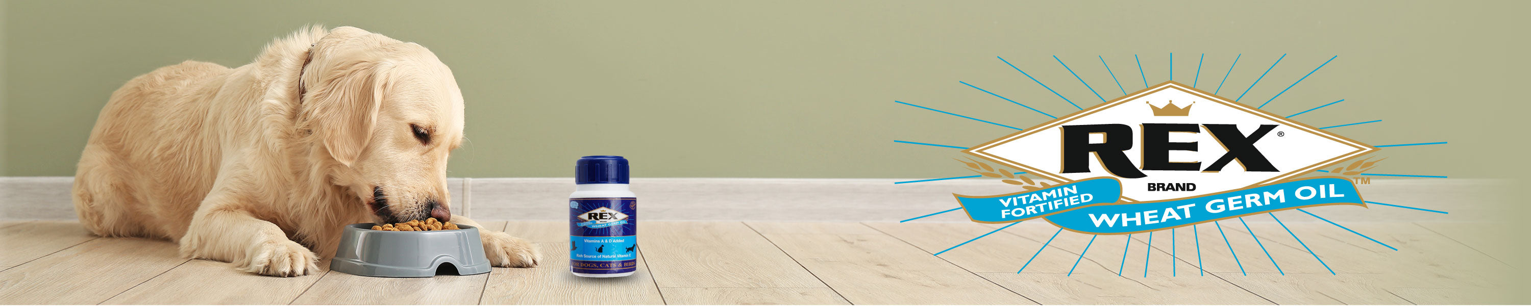 REX | Orange Pet Nutrition