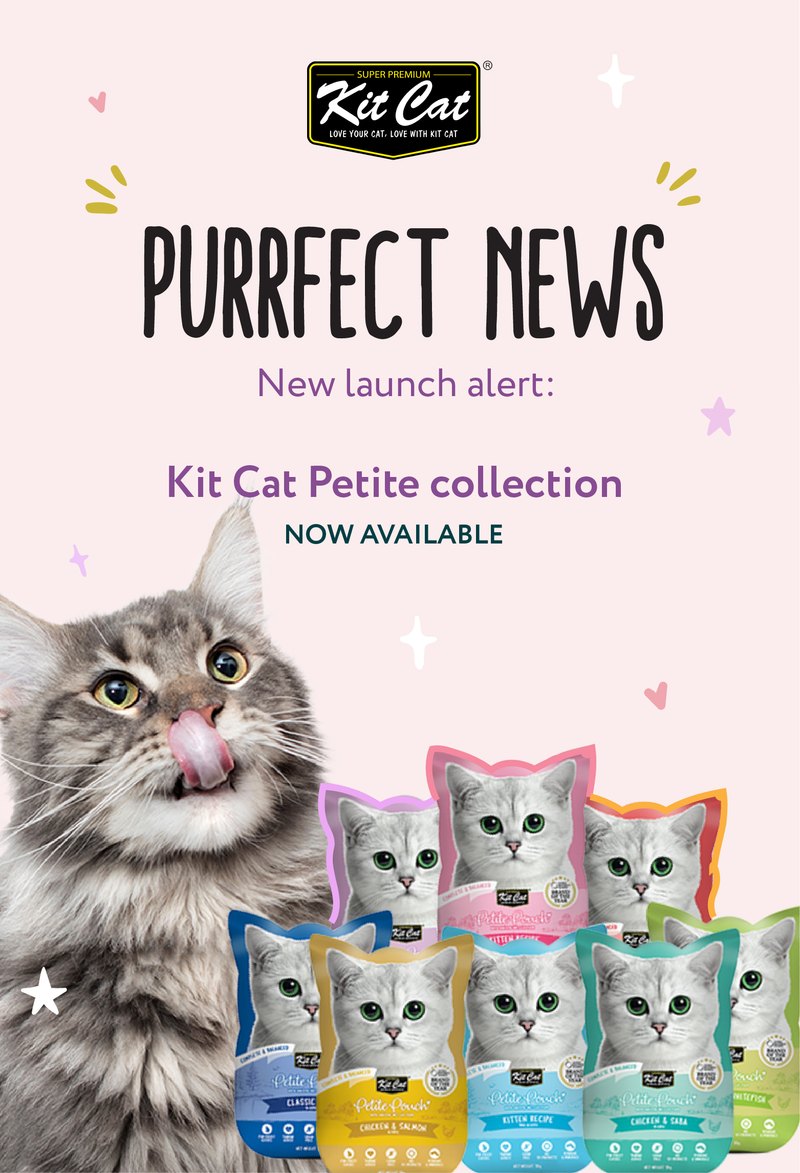 Orange Pet Nutrition: India's Leading Importer of Premium Pet Food