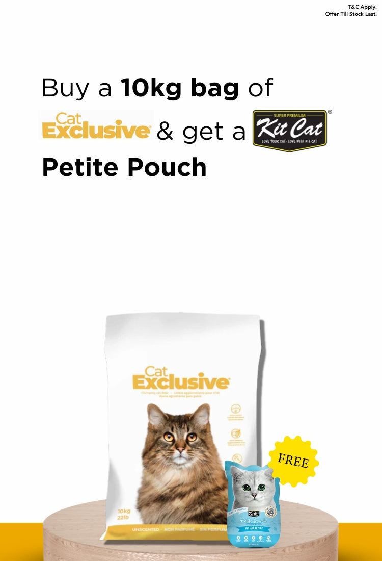 Orange Pet Nutrition: India's Leading Importer of Premium Pet Food