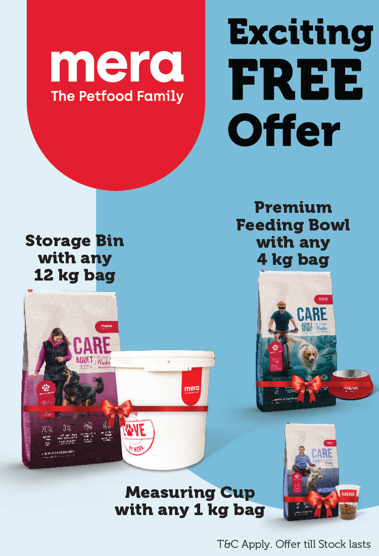 Orange Pet Nutrition: India's Leading Importer of Premium Pet Food