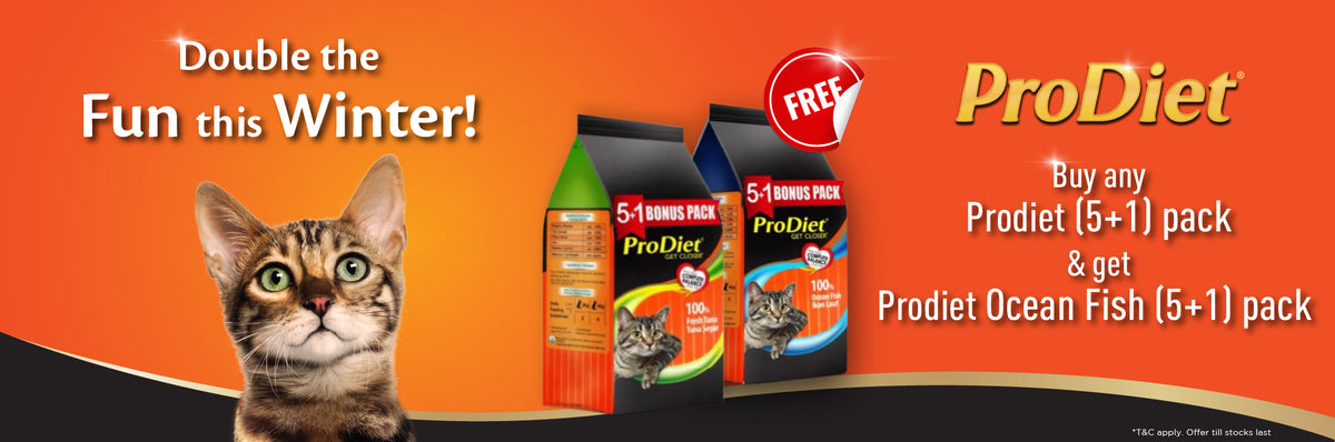 Orange Pet Nutrition: India's Leading Importer of Premium Pet Food