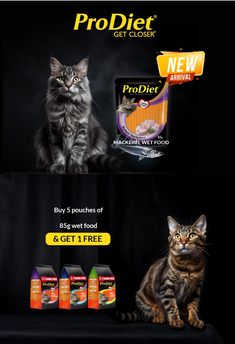 Orange Pet Nutrition: India's Leading Importer of Premium Pet Food