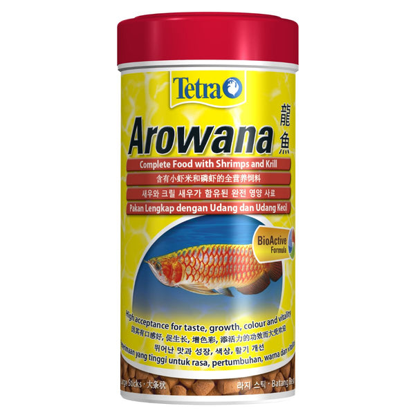 Arowana fish food store