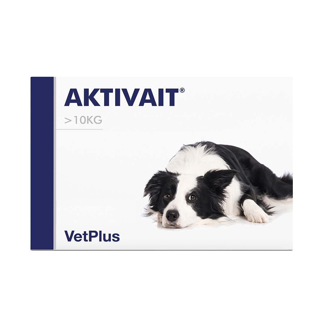 Vetplus Nutraceutical Supplement Aktivait for Dog - Orange Pet Nutrition
