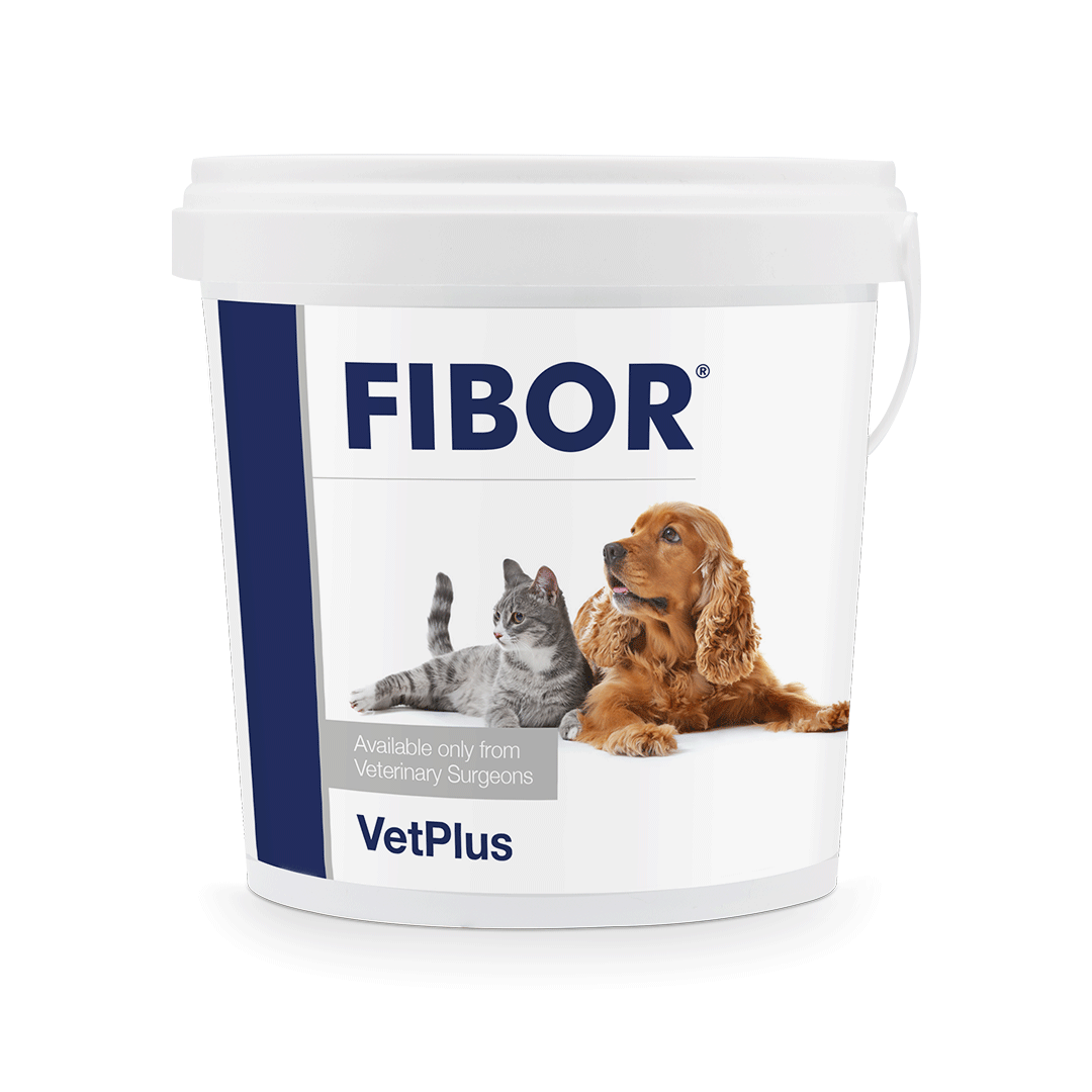 Vetplus Nutraceutical Supplement Fibor for Dog & Cat