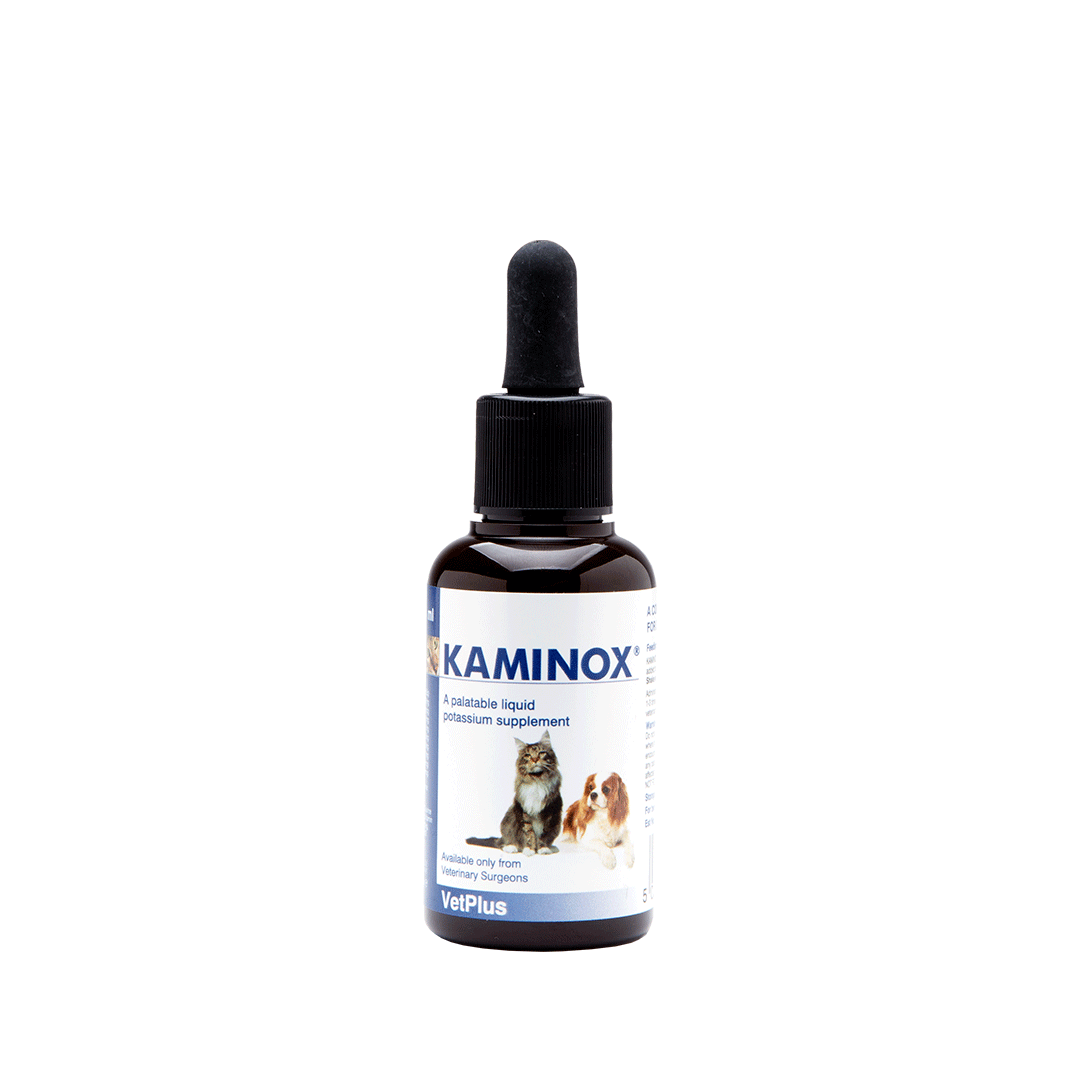 Vetplus Nutraceutical Supplement Kaminox for Dog & Cat