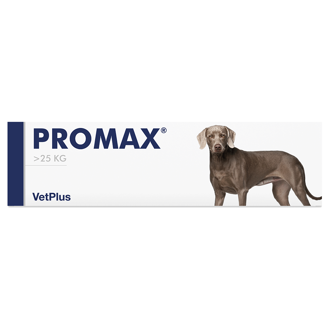 Vetplus Nutraceutical Supplement Promax for Dog