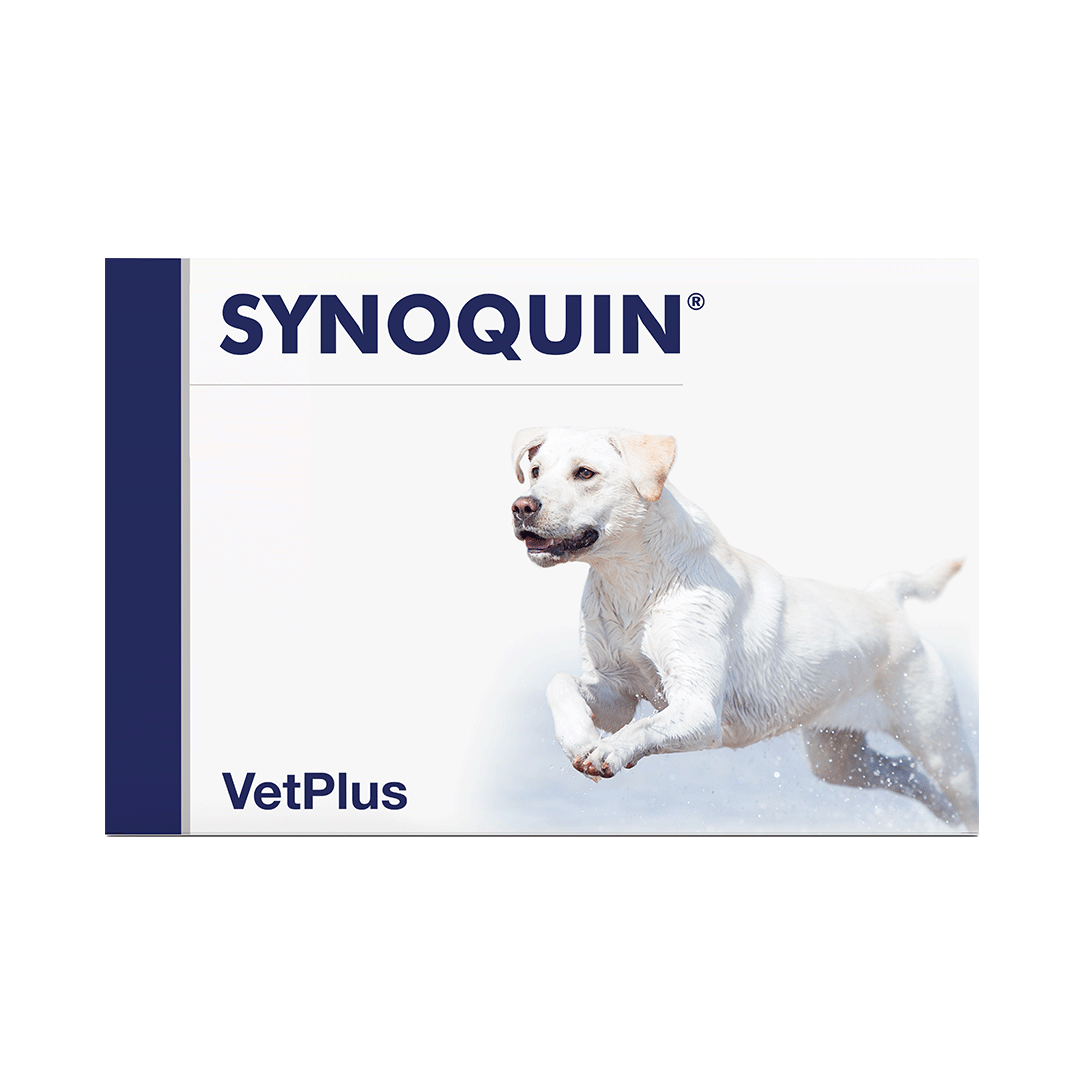 Vetplus Nutraceutical Supplement Synoquin Large Breed for Dog & Cat ...