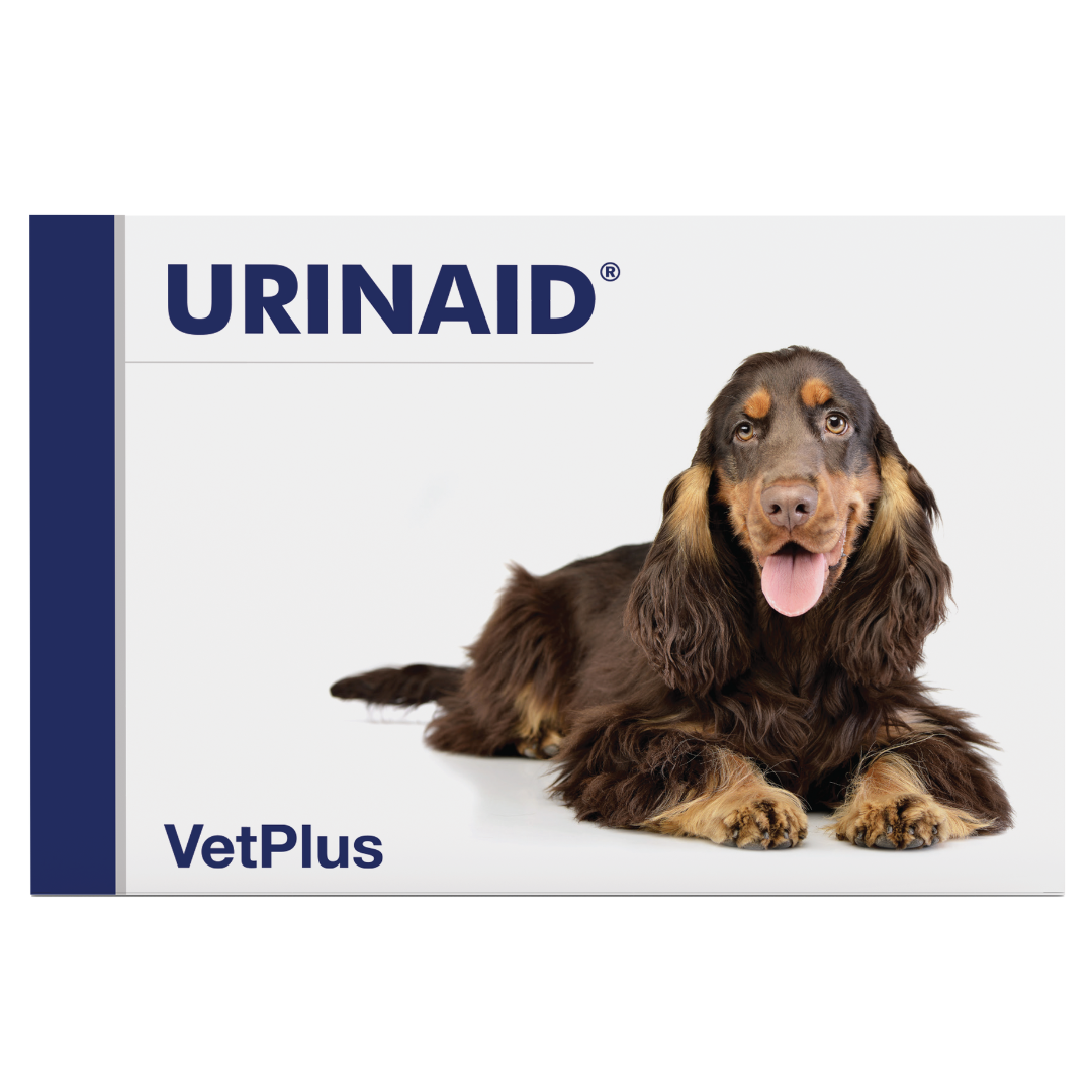 Vetplus Nutraceutical Supplement Urinaid tablet for Dog - Orange Pet ...