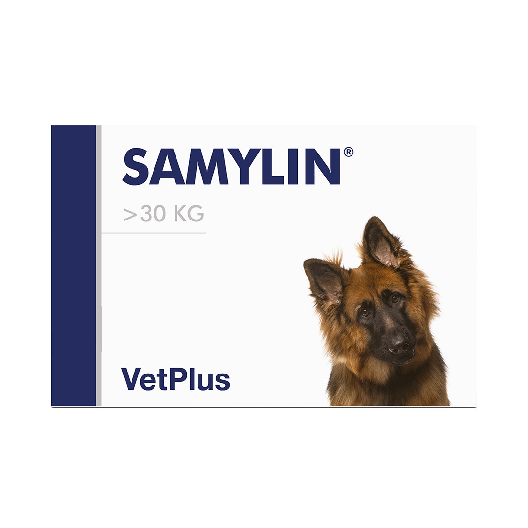 Vetplus Nutraceutical Supplement Samylin for Dog & Cat
