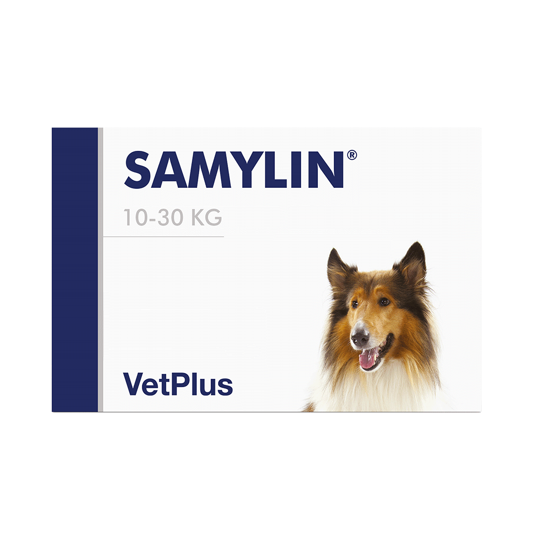 Vetplus Nutraceutical Supplement Samylin for Dog & Cat